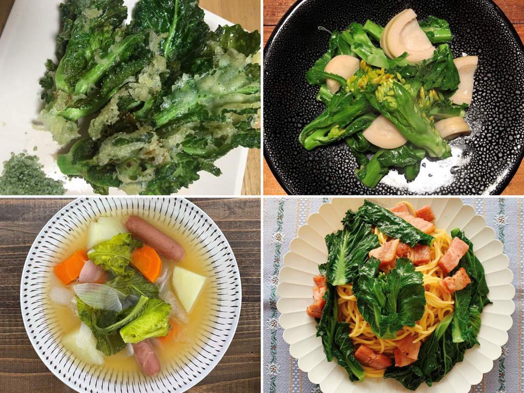 【期間限定】希少な春野菜「ケール花芽」予約受付開始！ おいしい春の味覚をキューサイファーム島根から直送！｜ニュース｜キューサイ 企業サイト