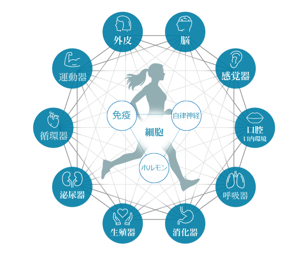 キューサイと九州大学、他2社が共同研究を開始 エイジング課題につながるエビデンス構築に向けた健診データ・生活習慣を検証｜ニュース｜キューサイ ...
